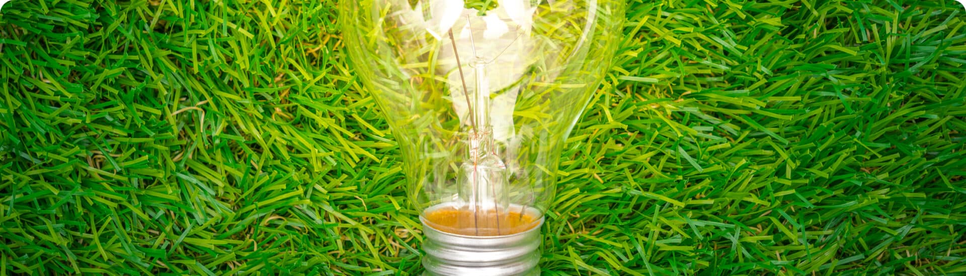 Sustainable Purchasing - NASPO